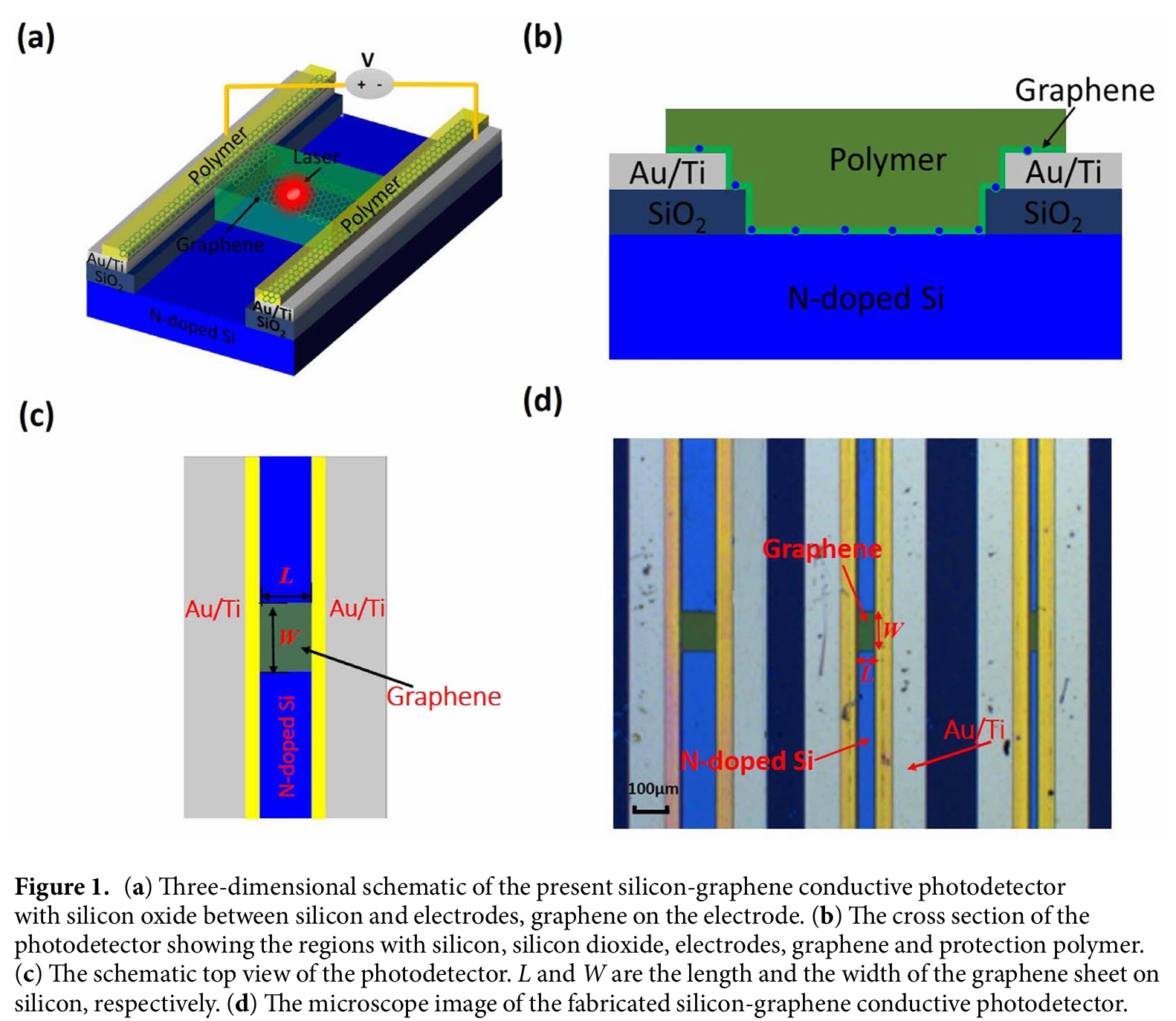 Silicon-Graphene Conductive Photodetector with Ultra-High Responsivity ...